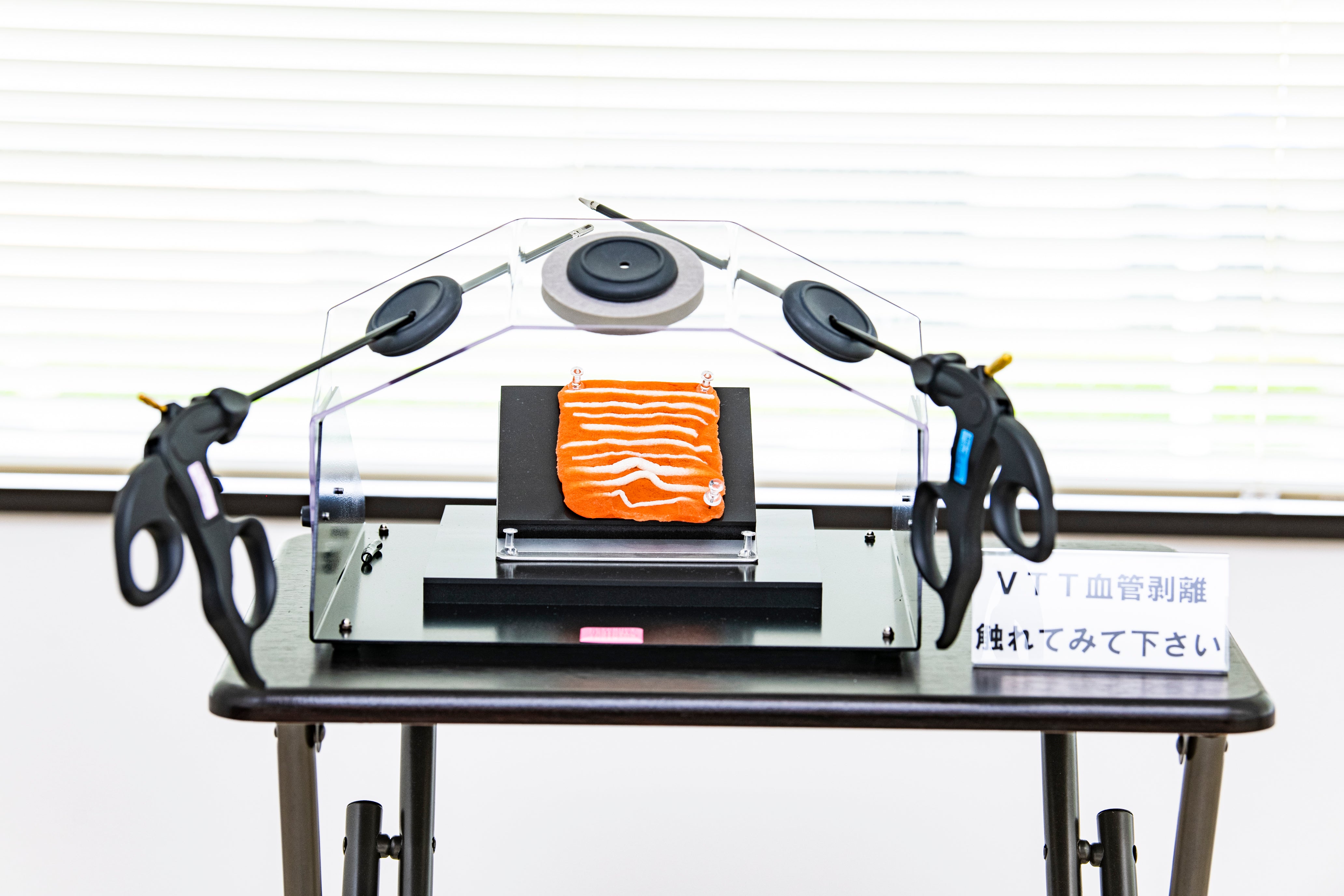 Laparoscopic Training Models – KOTOBUKI Medical: Surgical Training Models