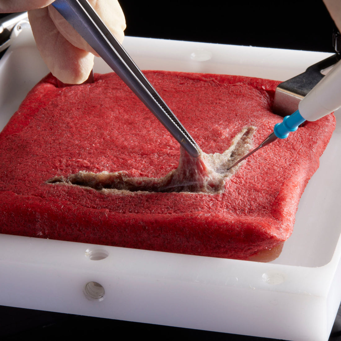 Thermochromic Model (VTT-RBC) – KOTOBUKI Medical: Surgical Training Models