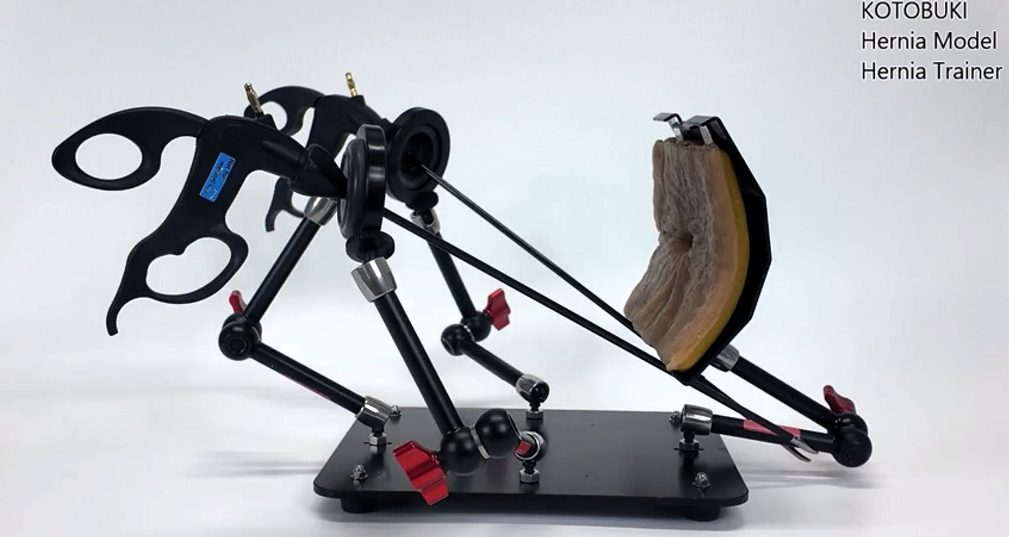 VTT Inguinal Hernia Model【VTT-TAPP】 – KOTOBUKI Medical: Surgical ...