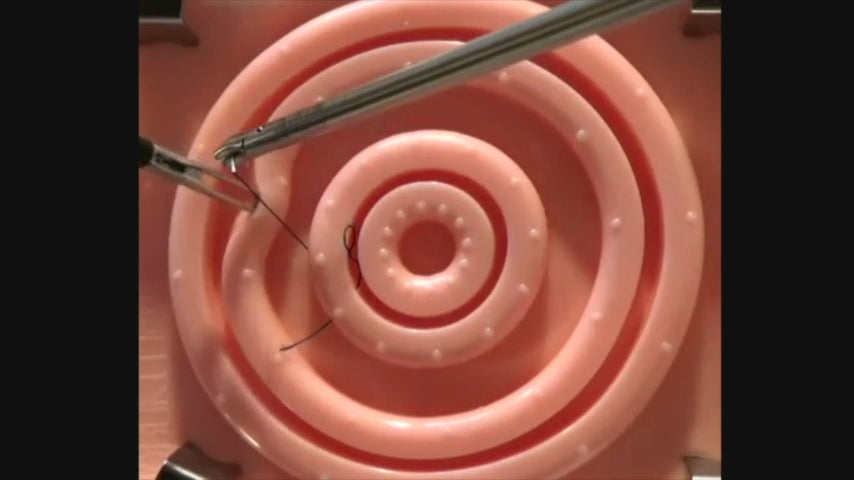 Dr. Imamura's eTEP Optima Suture Practice Pad – KOTOBUKI Medical: Surgical Training Models