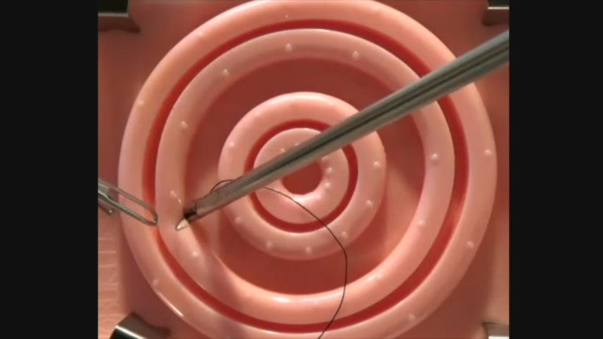 Dr. Imamura's eTEP Optima Suture Practice Pad – KOTOBUKI Medical: Surgical Training Models